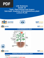 LFSC Grade 10 - Unit 4 - Plant and Animal Tissues | PDF | Tissue ...