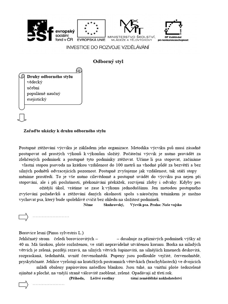 Odborny Styl - Pracovni List | PDF