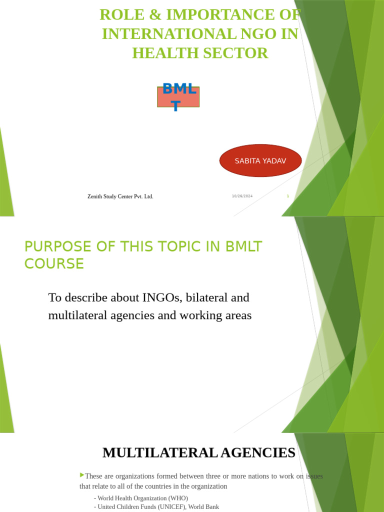 Role Ngo Ingo | PDF | United Nations Development Programme | World ...