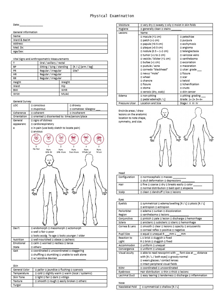 Pe Form | PDF | Human Anatomy