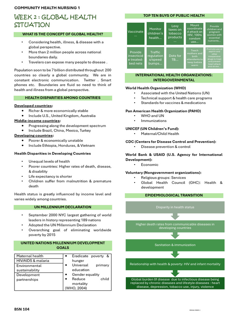 Community Health Nursing Notes | PDF | Sustainability | Public Health