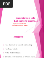 Intraperitoneal Ip Injection in Rats and Mice Sop | PDF | Injection ...