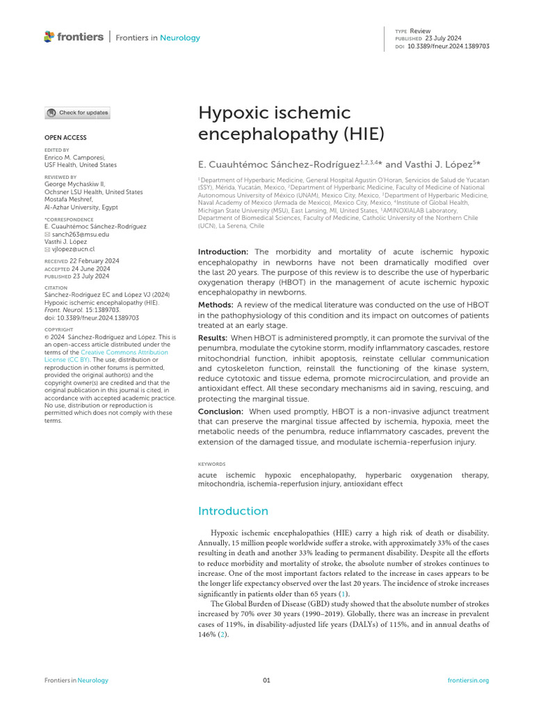 Hypoxic Ischemic Encephalopathy (HIE) | PDF | Stroke | Ischemia
