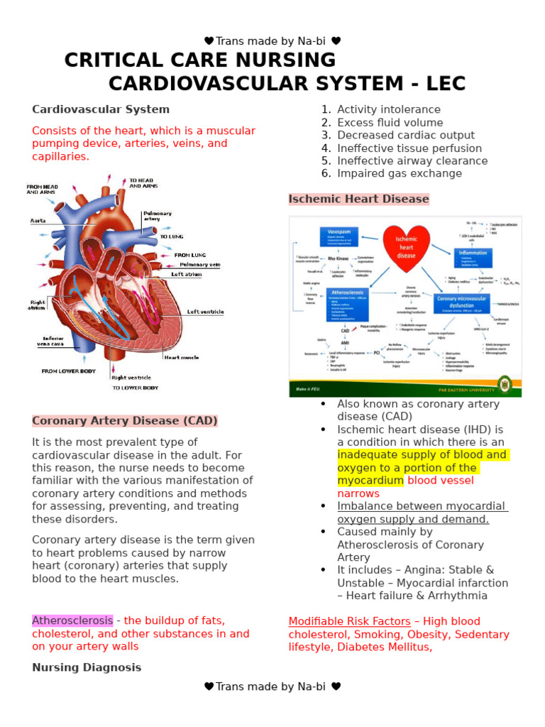 Cardiovascular System CCN LEC | PDF | Coronary Artery Disease | Myocardial Infarction