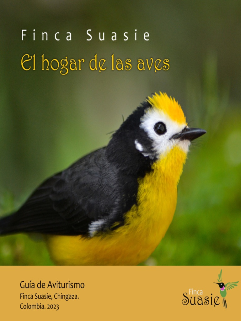 Guia Aves 2024-2 | PDF | Ornitología | Aves