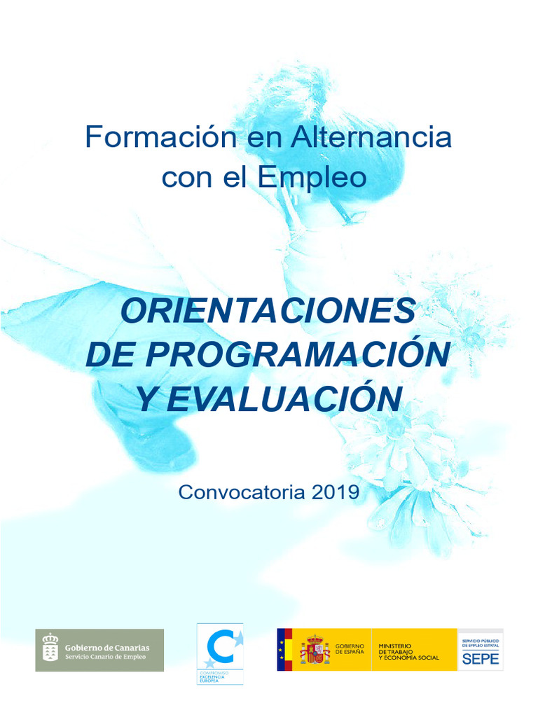 Orientaciones Programación y Evaluación PFAE 2019 | PDF | Evaluación ...