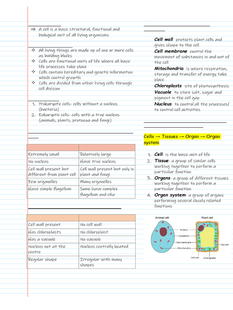 Cell Theory | PDF | Cell (Biology) | Cell Membrane