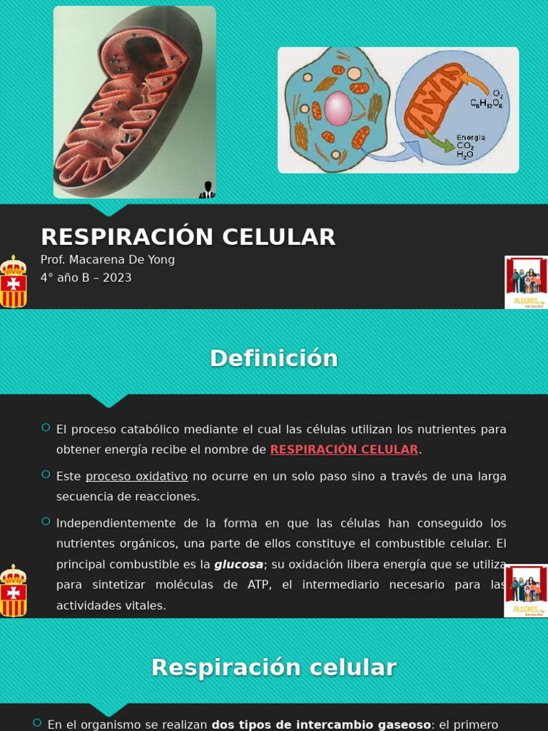 Clase 5 - Respiración Celular | PDF | Trifosfato de adenosina ...
