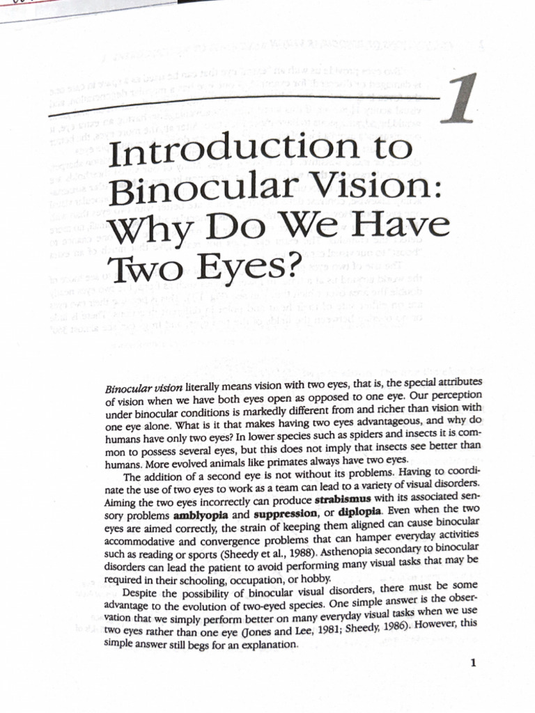 Chapter 1 - Foundations of Binocular Vision | PDF