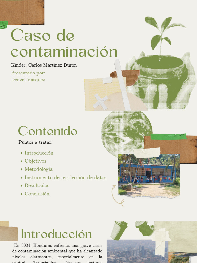 Denzel Contaminación | PDF | Contaminación | Observación