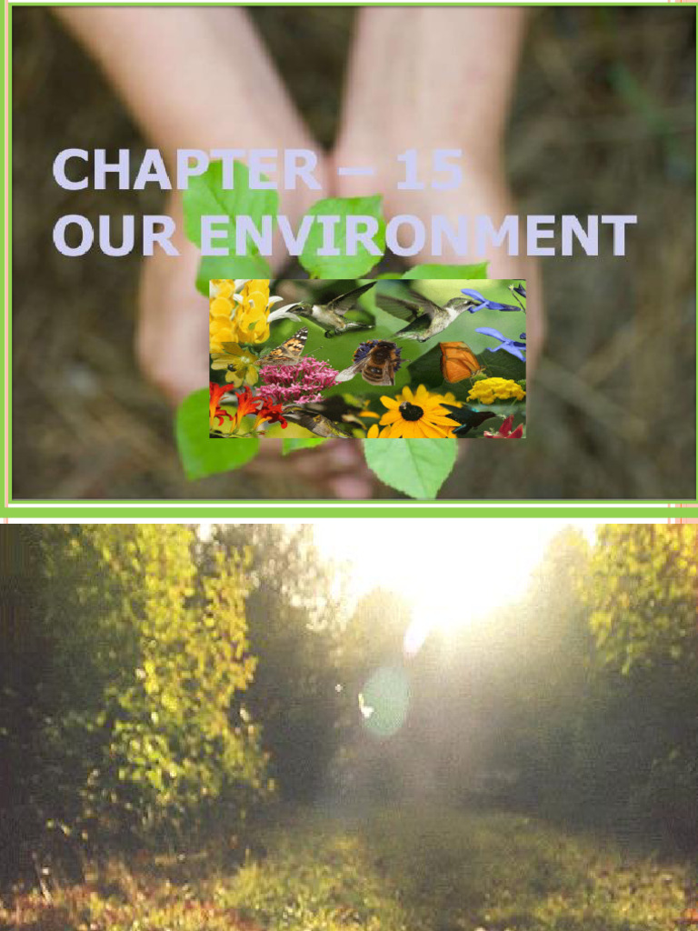 Grade 10 Our Environment Part-2.. (2024-25) . | PDF | Food Web | Foods