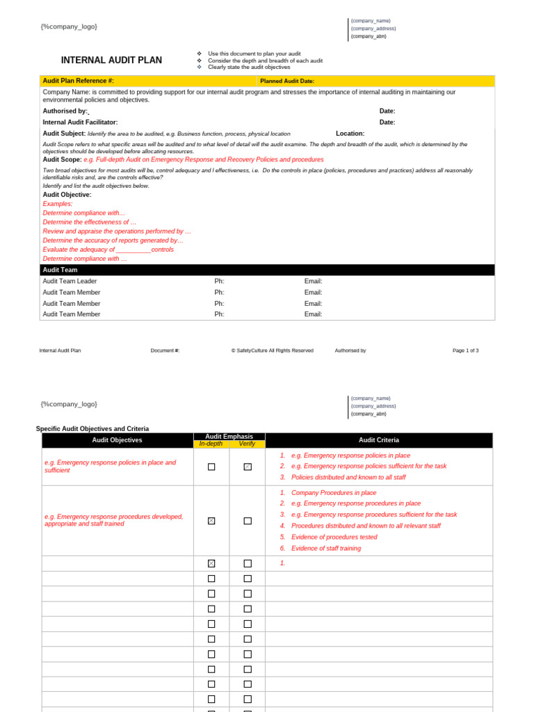 31303-2 - APP Internal Audit Plan | PDF | Audit | Internal Audit