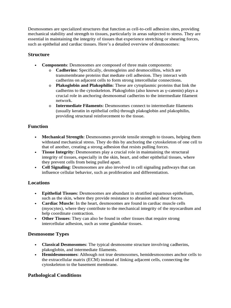Understanding Desmosomes and Hemidesmosomes | PDF | Epithelium | Cell ...