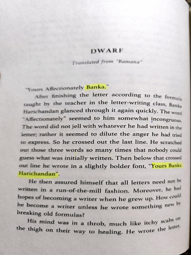 Banka DRP Dwarf Story | PDF