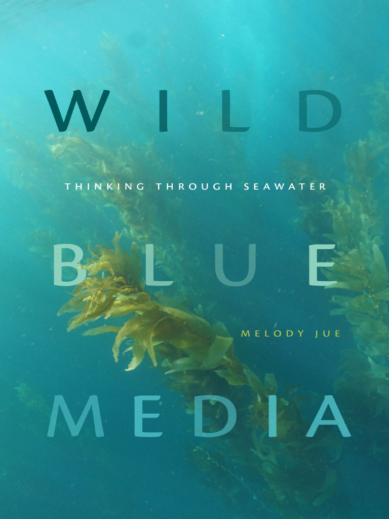 Wild Blue Media: Seawater Perspectives | PDF | Senses | Perception