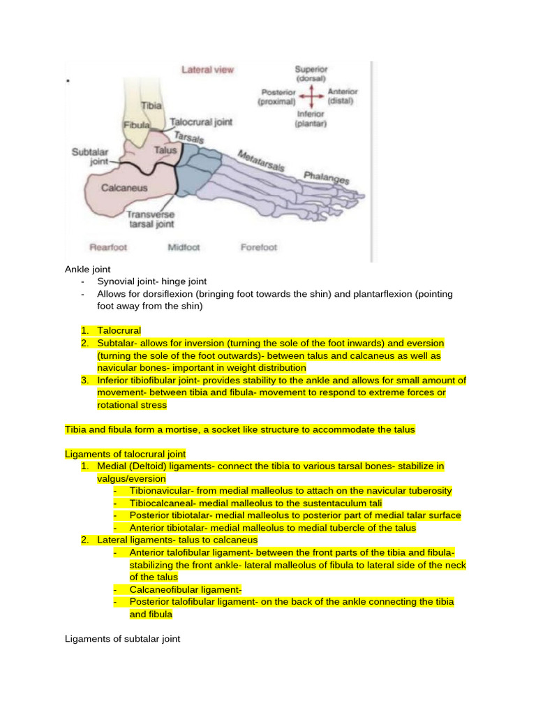 Ankle Joint - Physical Examination | PDF | Ankle | Foot