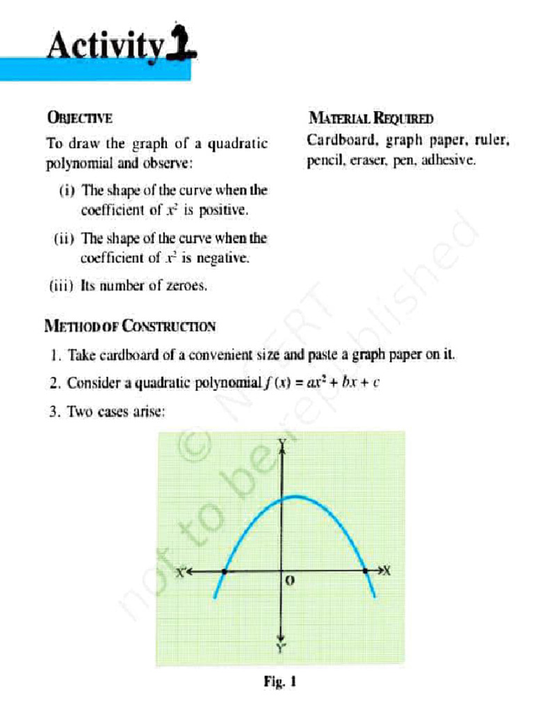 Class X Maths Activities 01 To 04 | PDF