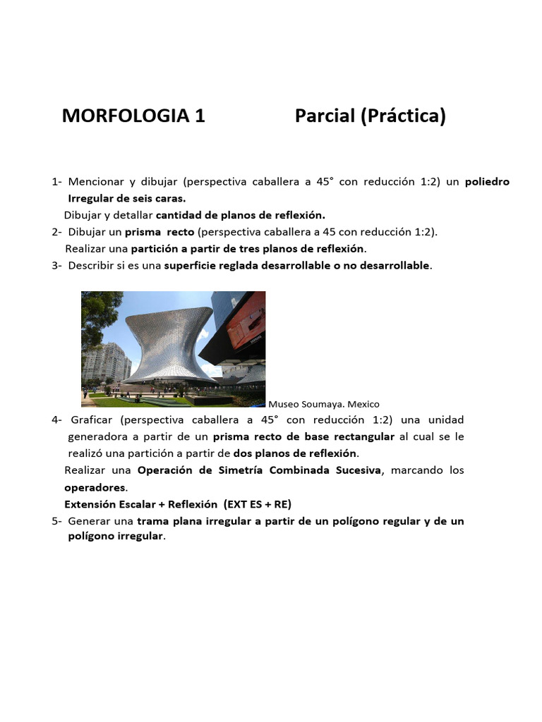 Ensayo-de-Parcial-Morfo | PDF