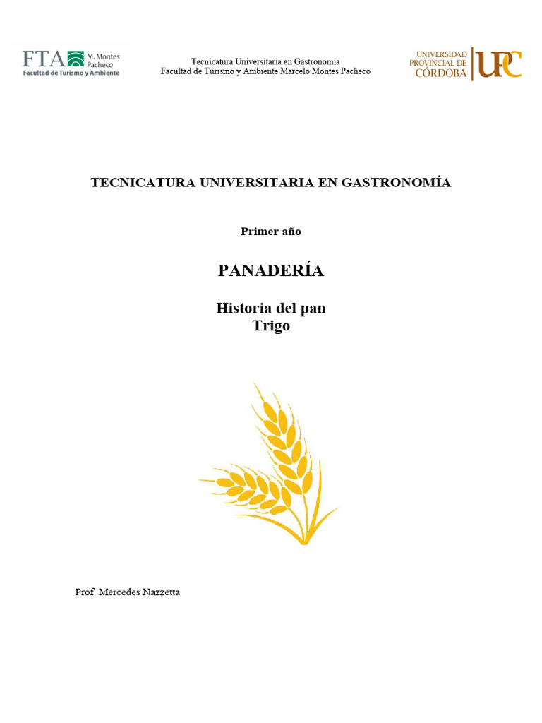Del trigo al pan: historia y clasificación | PDF | Trigo | Panes