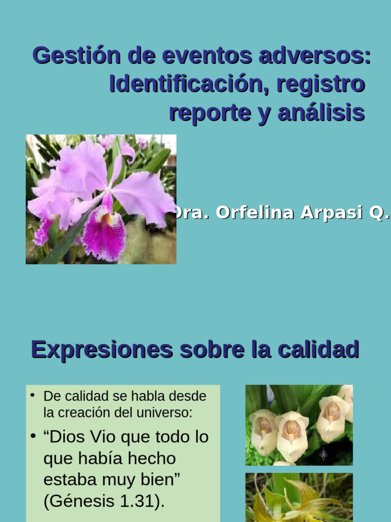 Analisis Del Evento Adverso | PDF | Riesgo | Seguridad del paciente