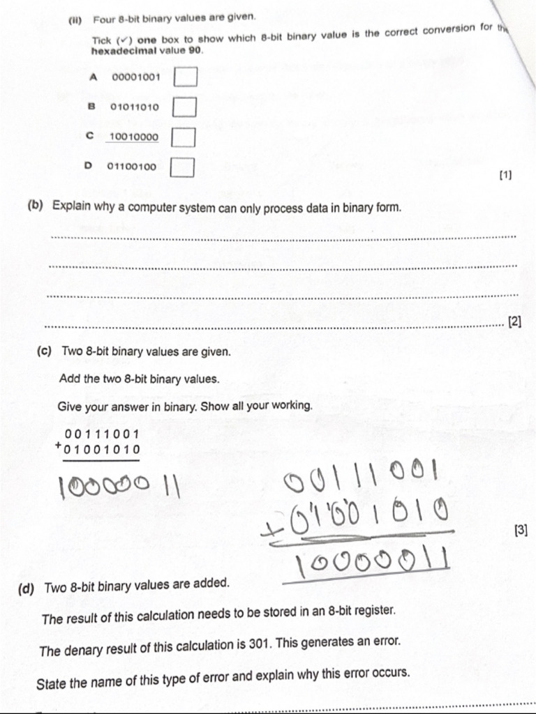 Homework | PDF