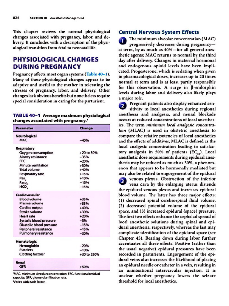 Trnslate | PDF
