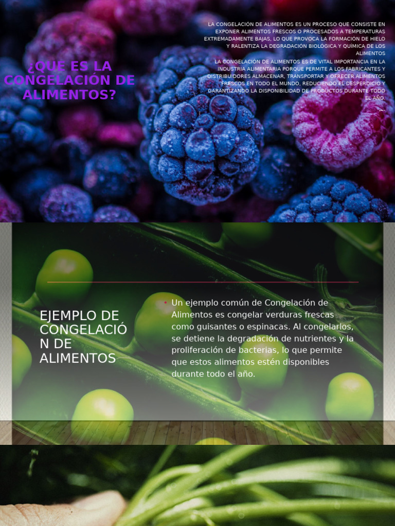 Congelación de Alimentos: Proceso y Métodos | PDF | Agua | Alimentos