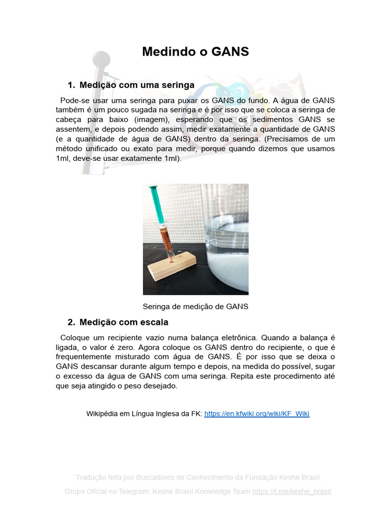 Medindo o Gans | PDF