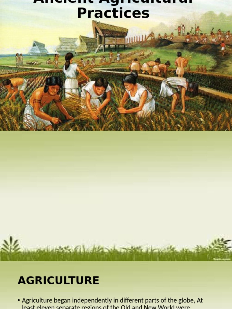 Ancient Agriculture Practices | PDF | Agriculture | Domestication