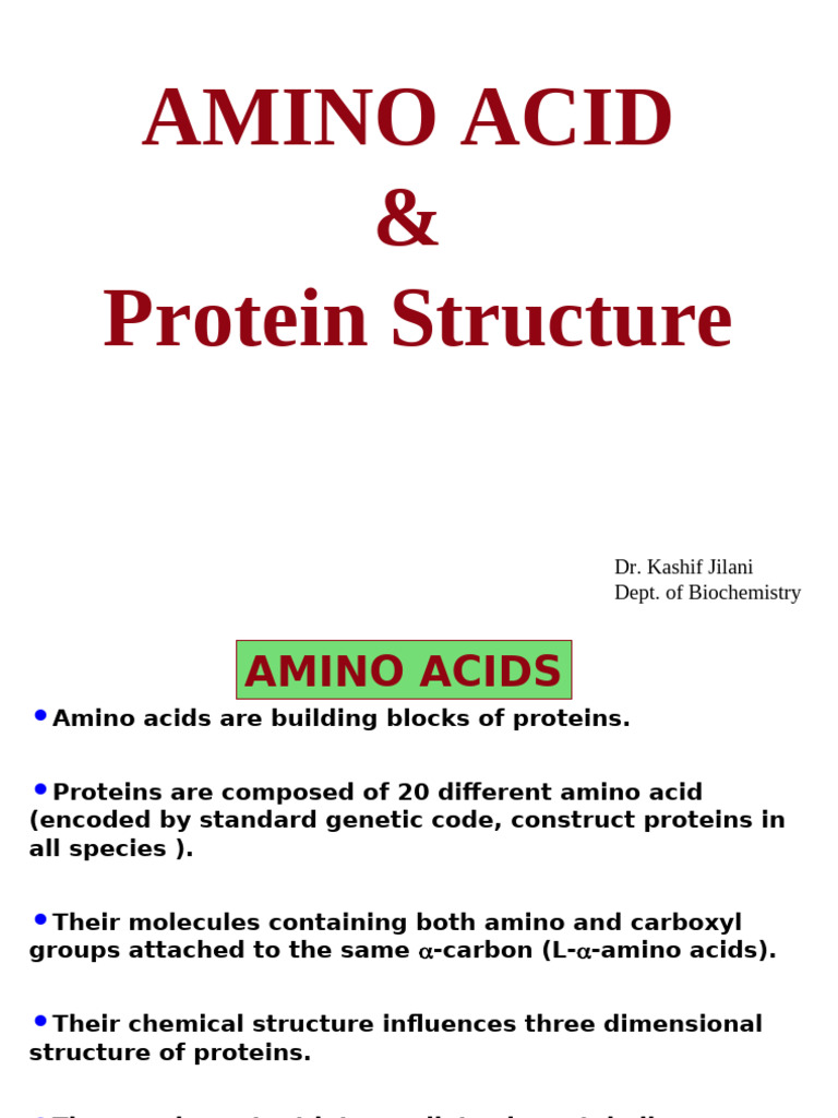 Amino Acid | PDF | Amino Acid | Proteins