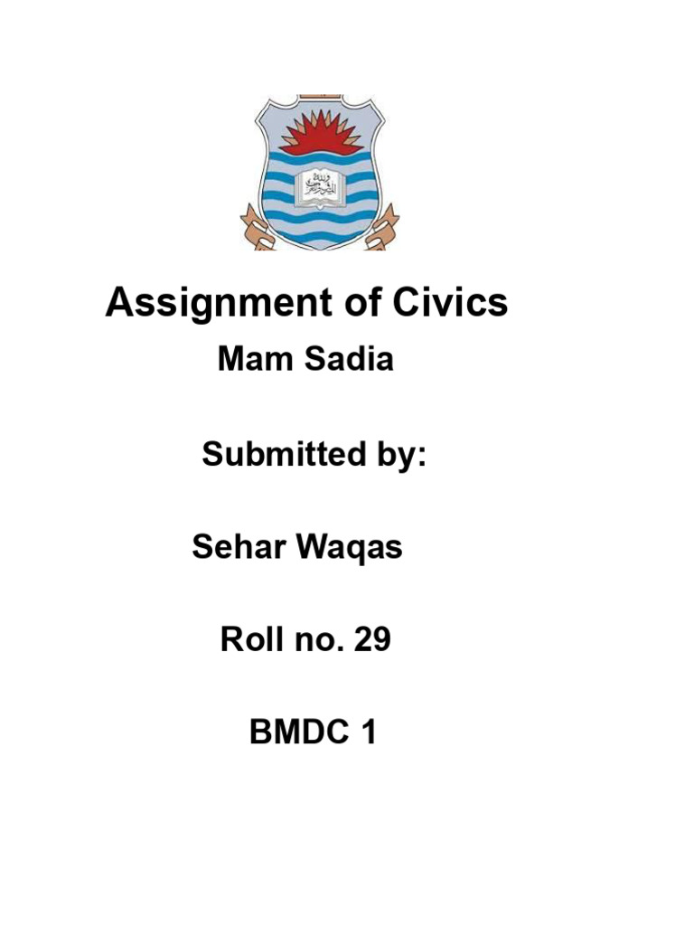 Constituion of Pakistan Assignment SEHAR | PDF | Political Law | Rights