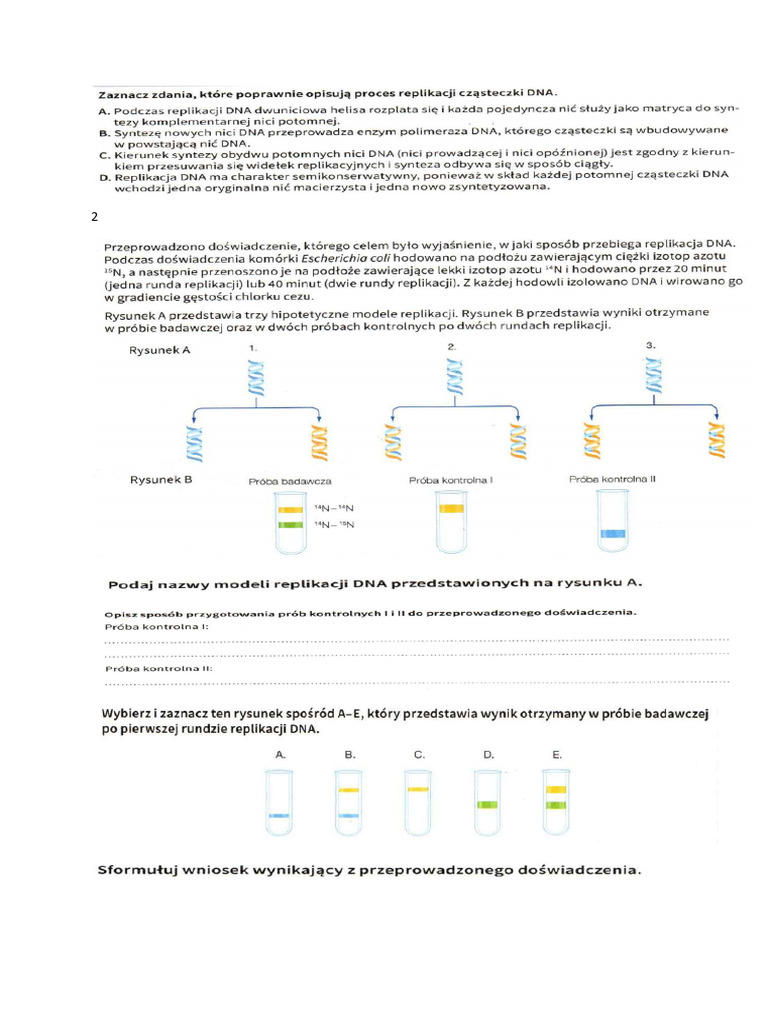 Genetyka Klasa 4 Biologia Rozszerzona | PDF