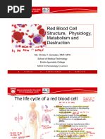 Labeled Diagram of Red Blood Cells | PDF | Red Blood Cell | Blood