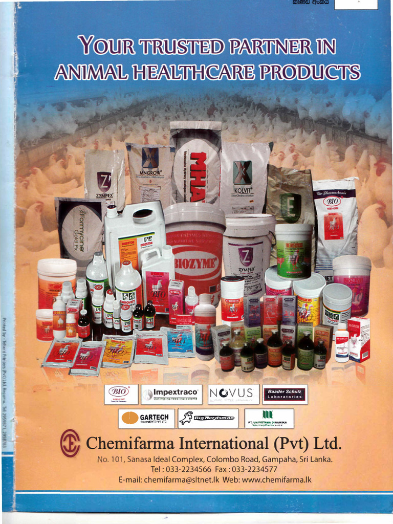 Flock Record Sheet 240606 120127 | PDF