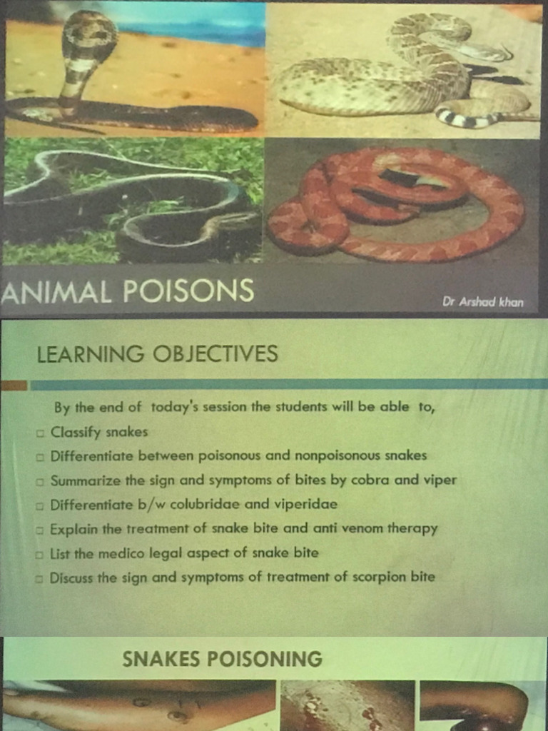 Animal Poisons - Toxicology (Snakes and Scorpions) | PDF