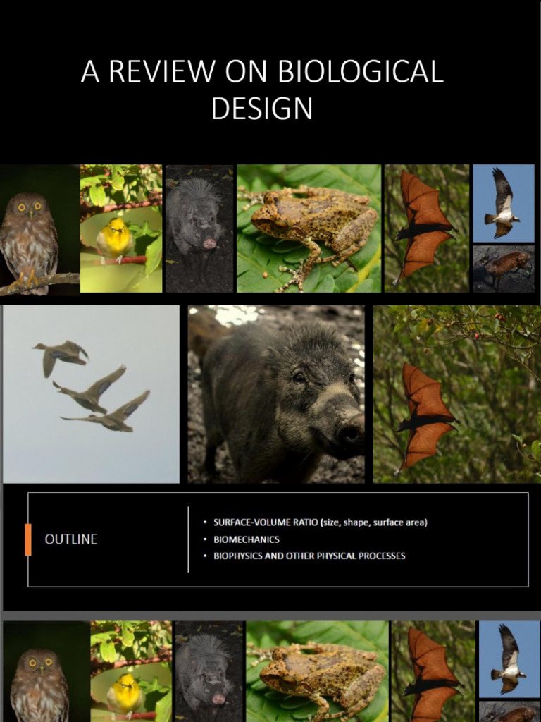 3 Biological Design | PDF | Heat | Biomechanics