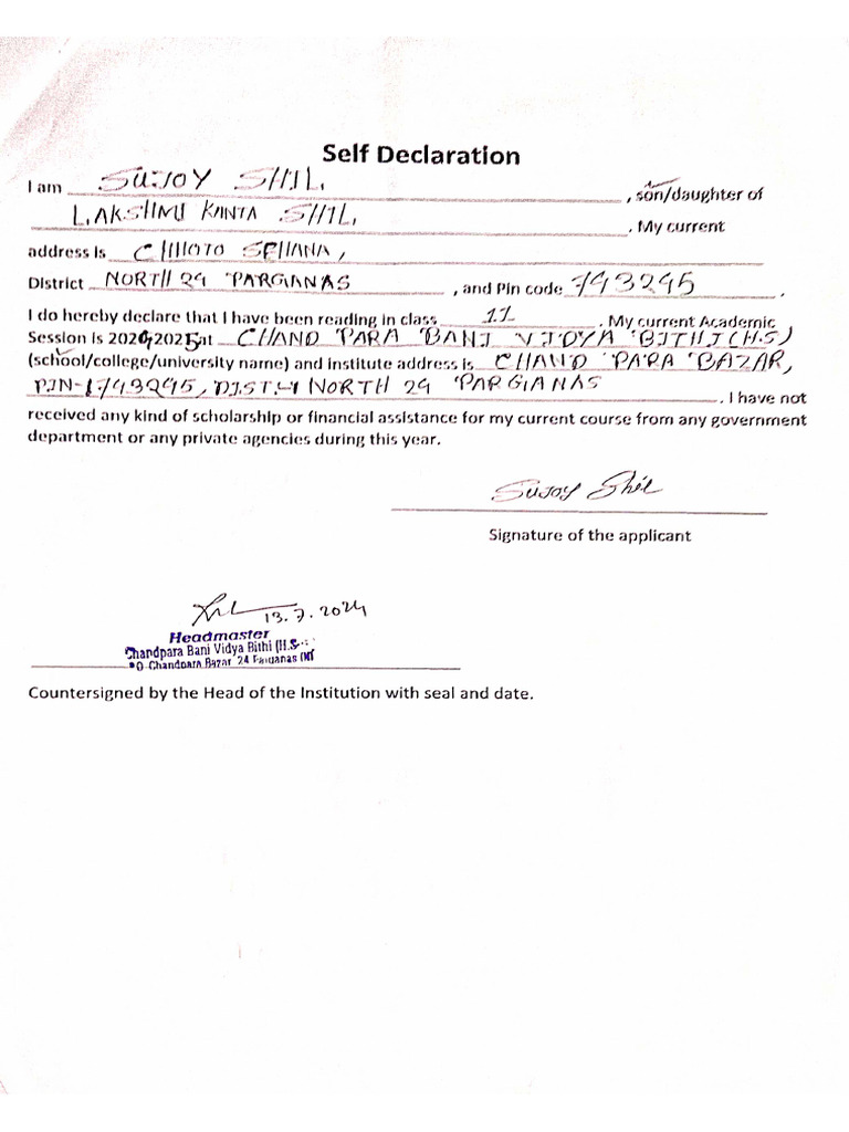 Selfdeclaration | PDF