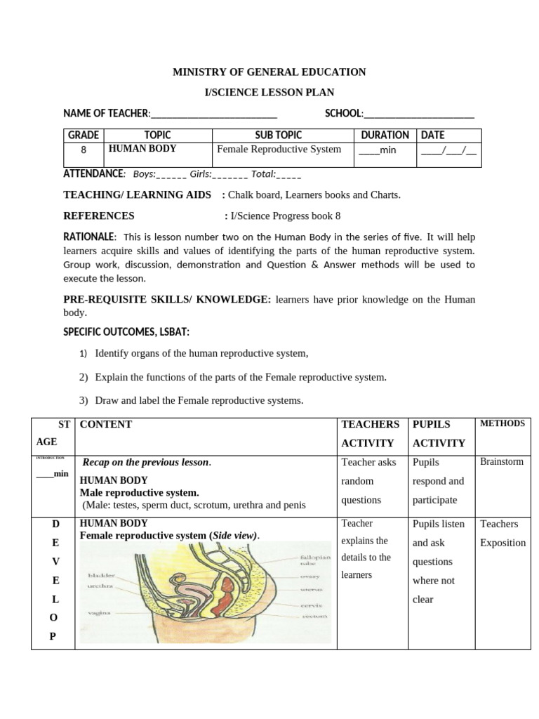 Grade 8 Integrated Science the Human Body - Female Reproductive System ...