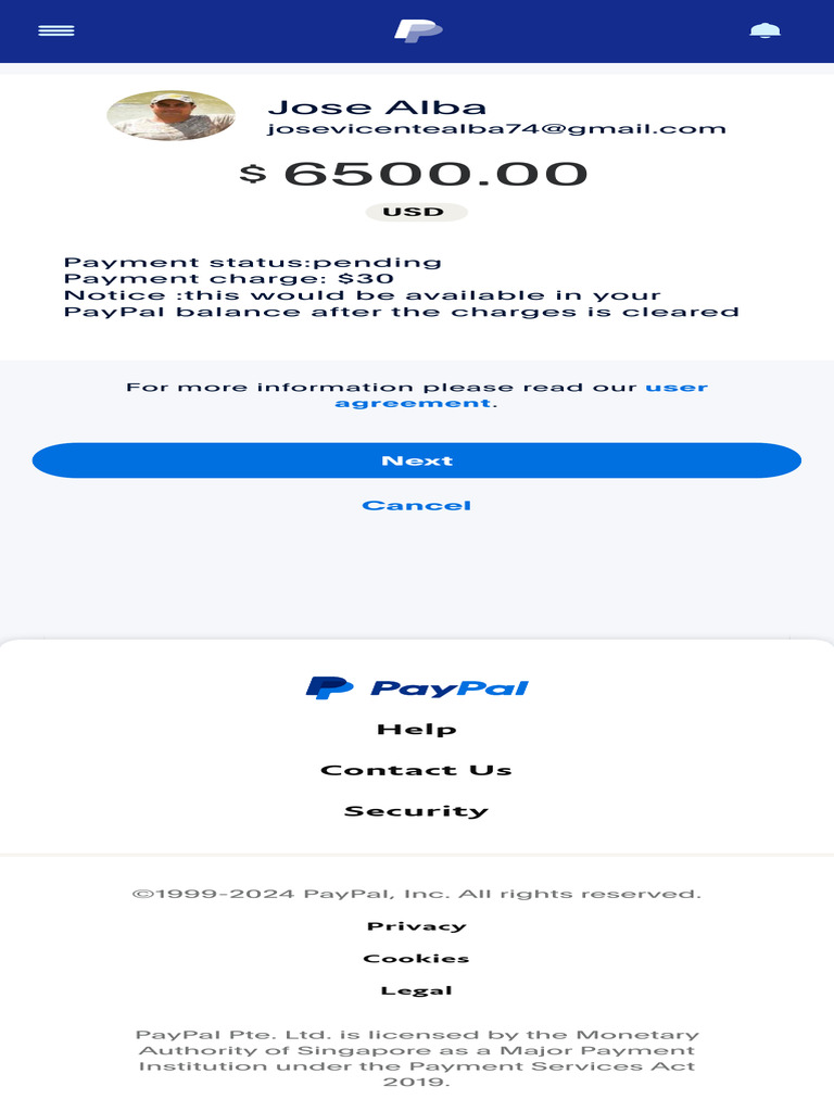 PayPal Make A Payment Preview 2 | PDF | Business | Finance & Money ...