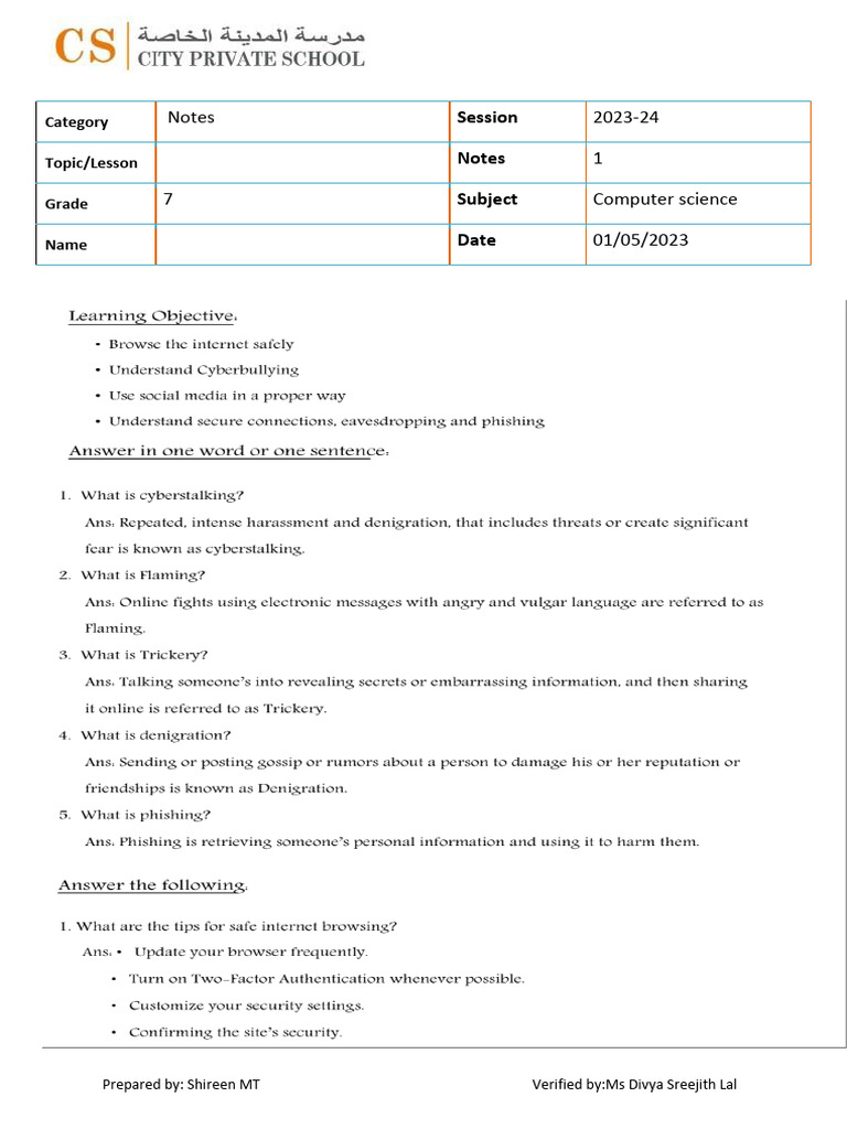 Cyber Safety Notes | PDF | Games & Activities | Social Science