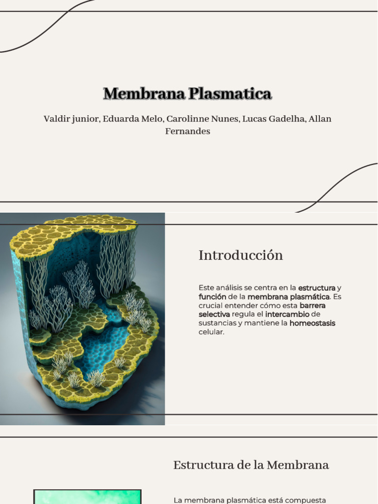 Membrana Plasmatica | PDF
