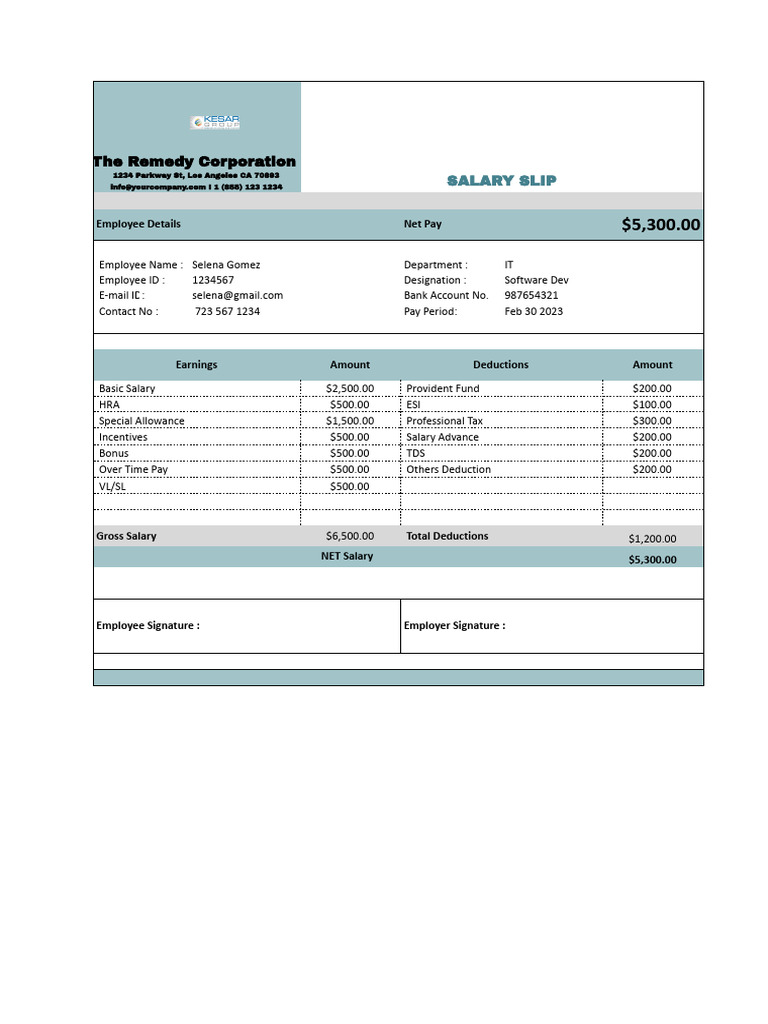 Payroll Salary Slip | PDF