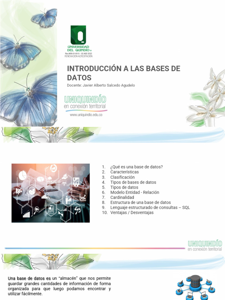 Introduccion Bases de Datos | PDF | Bases de datos | SQL