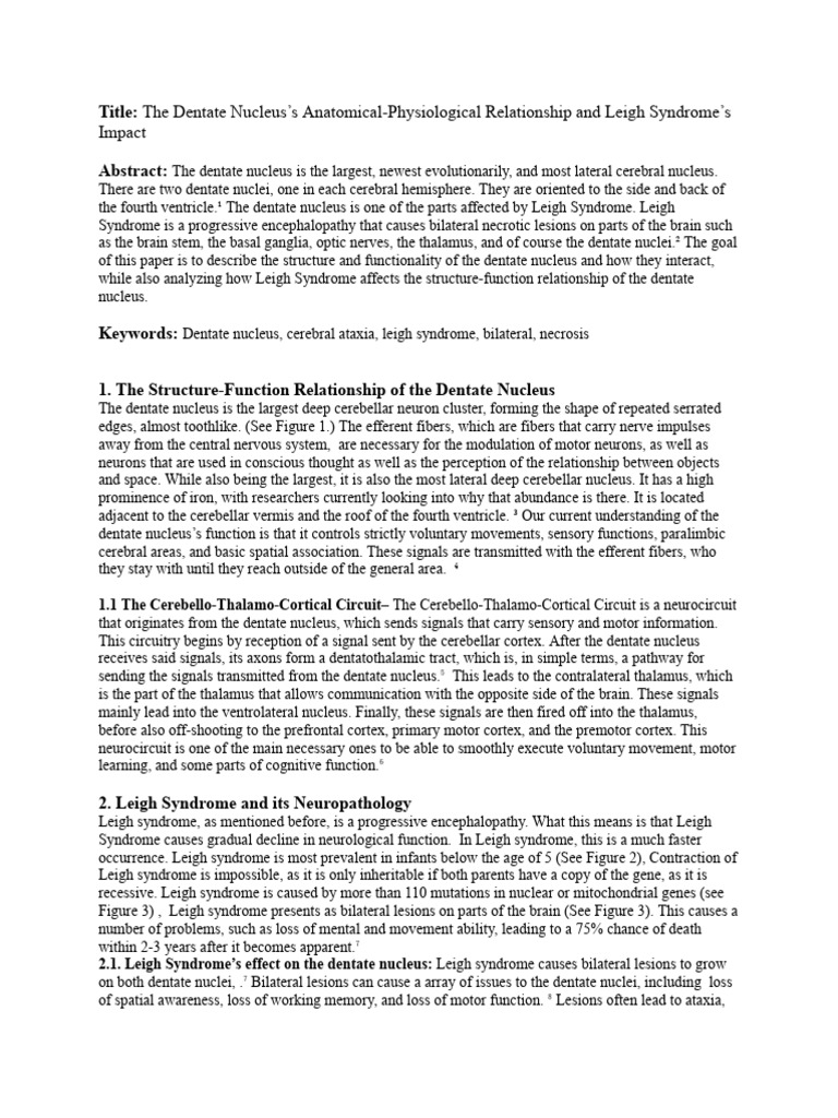 Neuropathology Report CCasas | PDF | Cerebellum | Neuroanatomy