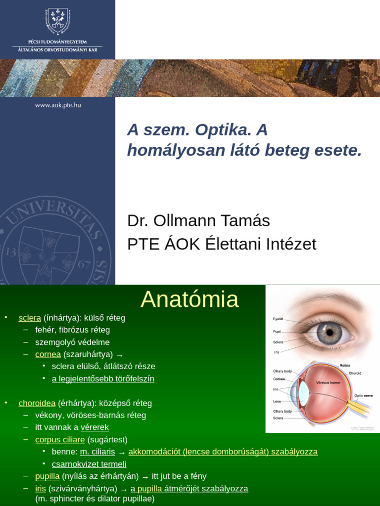 15 Szem, Optika | PDF