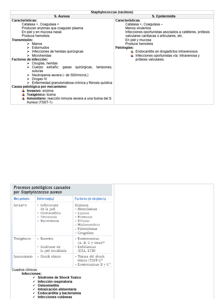 Resumen Gram+ | PDF | Estreptococo | Staphylococcus Aureus