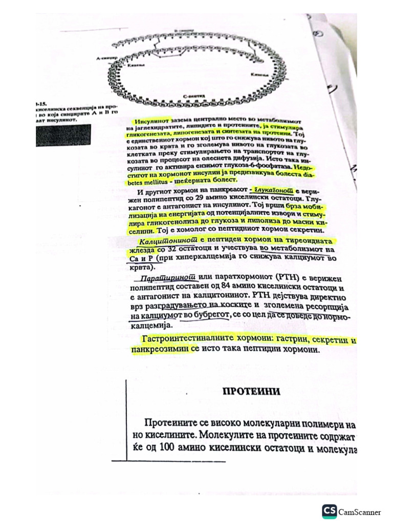 Biohemija Skripti | PDF