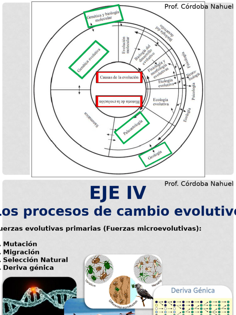 Clase 9 EJE IV | PDF