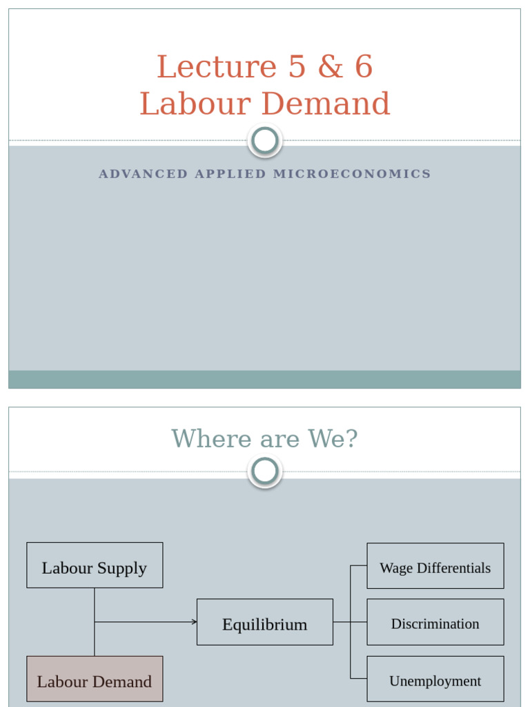 Labour Demand | PDF | Labour Economics | Production Function Labour Demand | PDF | Labour Economics | Production Function