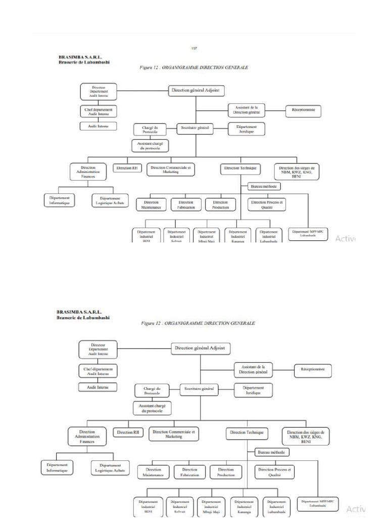 Organigramme Brasimba | PDF